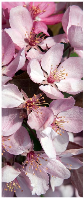 Seasonal Reminders - Rockhaven Homes